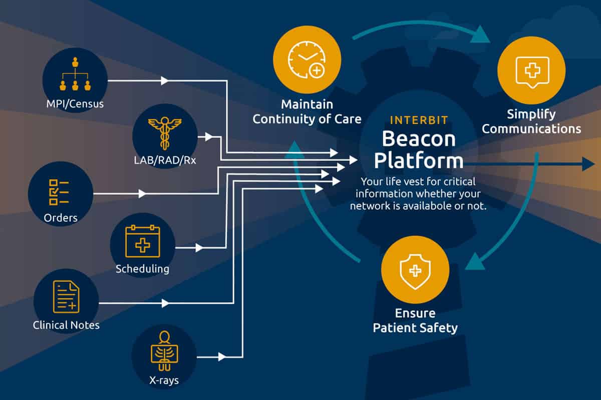 Explainer Graphics for Interbit Data | Clarity Quest